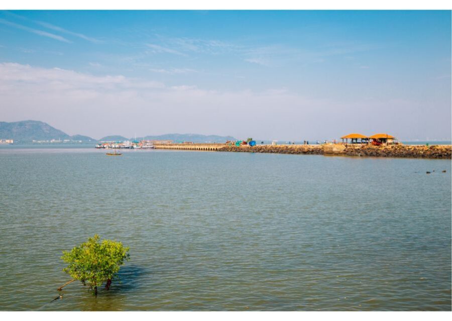 From Colaba: Half-Day Sightseeing Tour with Elephanta Caves - Practicalities and Value