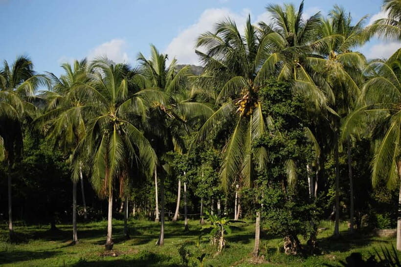 From Colombo: 10 Day Sri Lanka Tour with Guide and Hotel - What Makes This Tour Stand Out