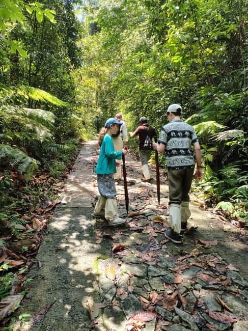 From Colombo/Kalutara: Full-Day Sinharaja Guided Eco Trek - The Itinerary: What to Expect