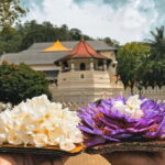 From Colombo: Kandy and Pinnawala Orphanage Short Excursions - Practical Details and Tips