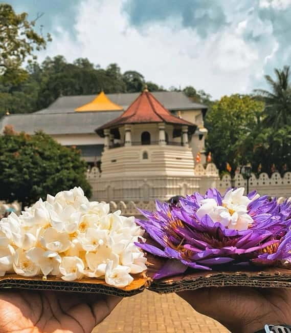 From Colombo: Kandy and Pinnawala Orphanage Short Excursions - Practical Details and Tips
