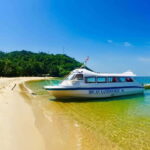 From Da Nang/Hoi An: Cham Islands Tour with Snorkeling - Practical Considerations and Value