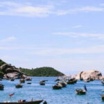 From Danang: Cham Island Diving, Snorkeling Explore the Sea - Who Is This Tour Best For?