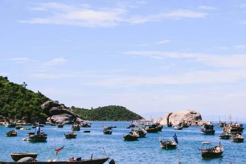 From Danang: Cham Island Diving, Snorkeling Explore the Sea - Who Is This Tour Best For?