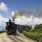 From Darjeeling: 8-Day Sandakphu Circuit Trek - What Makes This Trek Stand Out