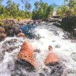 From Darwin: 1-Day Litchfield & Waterfalls Tour - Discovering the Natural Wonders of Litchfield