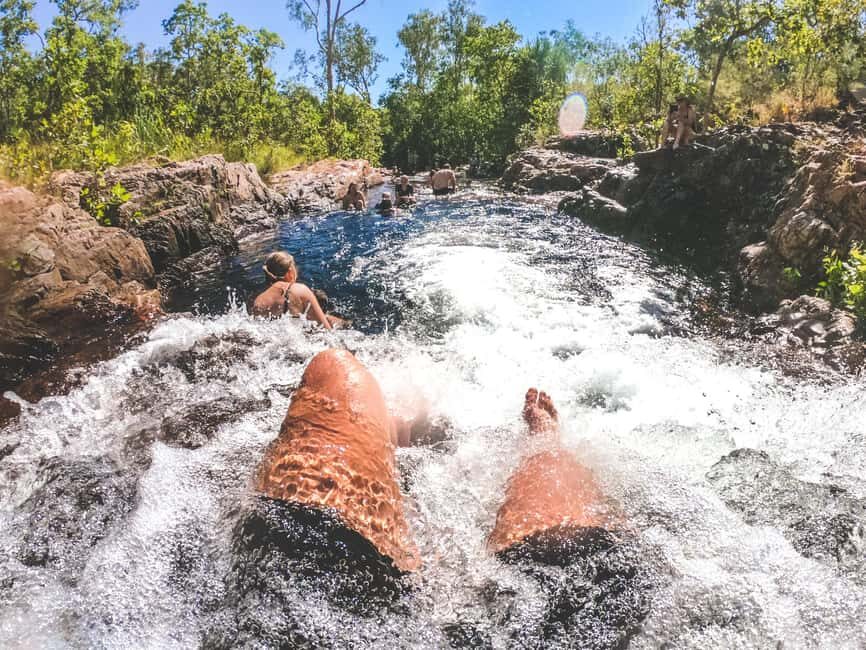 From Darwin: 1-Day Litchfield & Waterfalls Tour - Discovering the Natural Wonders of Litchfield