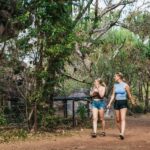 From Darwin: Kakadu Wilderness Escape Day Tour - Is the Tour Worth the Price?