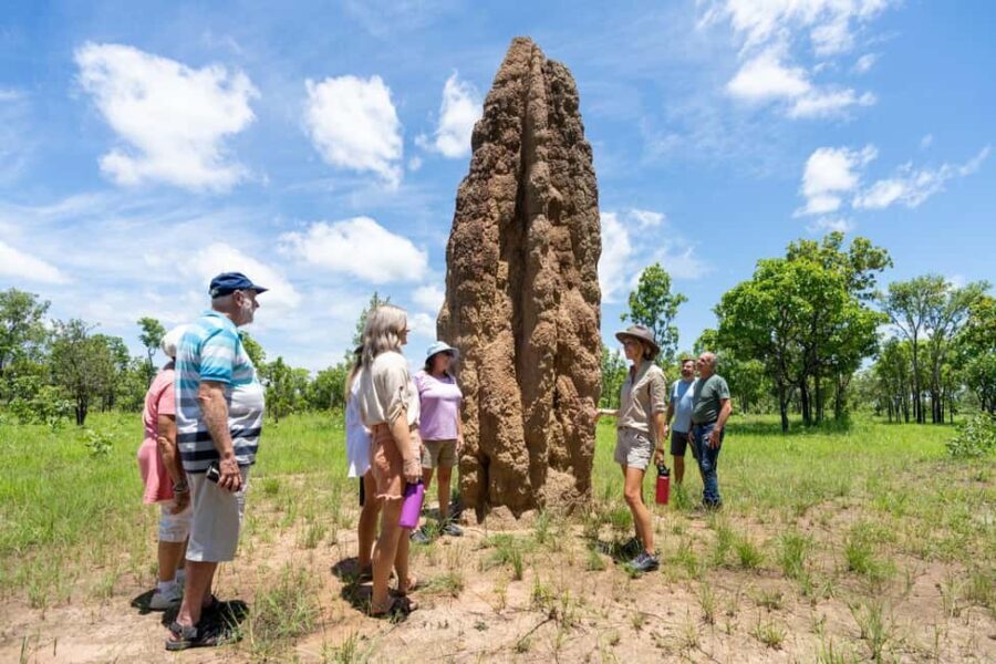 From Darwin: Litchfield National Park Day Trip - Who Should Consider This Tour?