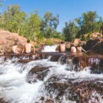 From Darwin: Litchfield National Park Full Day Tour - Authentic Experiences Highlighted by Travelers
