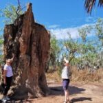 From Darwin: Litchfield National Park Small-Group Day Trip - Why Choose This Tour? The Highlights