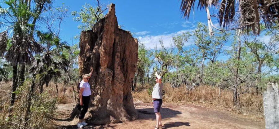 From Darwin: Litchfield National Park Small-Group Day Trip - Why Choose This Tour? The Highlights
