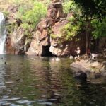 From Darwin: Litchfield Park Tour & Jumping Crocodile Cruise - Why Travelers Love This Tour