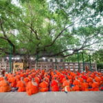 From Delhi: 14-Day Round-trip Buddhist Trail w/ Nepal Entry - What Reviewers Say