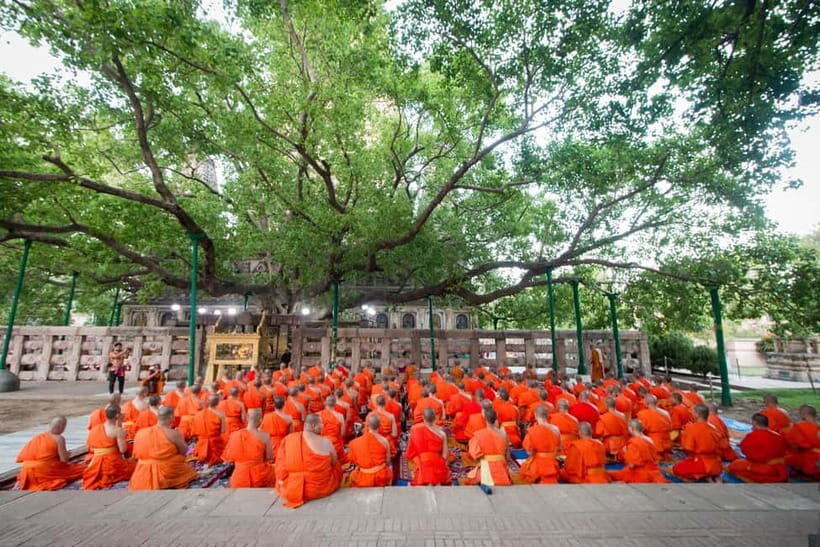 From Delhi: 14-Day Round-trip Buddhist Trail w/ Nepal Entry - What Reviewers Say