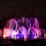 From Delhi: Akshardham Exhibition and Sahaj Anand Water Show - The Water and Light Show: A Visual Feast