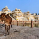 From Delhi: Full Day Jaipur City Guided Tour with Lunch - First Stop: Amber Fort