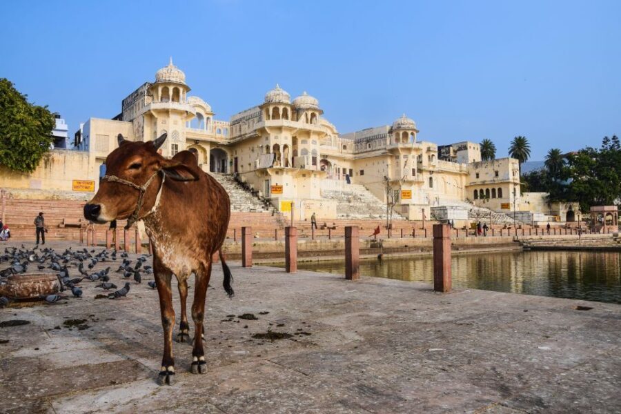 From Delhi: Jaipur Private Day Trip with Guide - The Journey from Delhi to Jaipur
