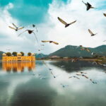 From Delhi: Private Full-Day Jaipur Highlights Tour - Trip Logistics and What You’re Getting