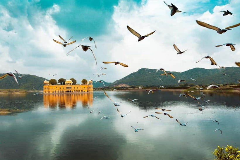 From Delhi: Private Full-Day Jaipur Highlights Tour - Trip Logistics and What You’re Getting