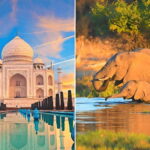 From Delhi: Sunrise Taj Mahal and Elephant Conservation Tour - The Experience: Why It Works