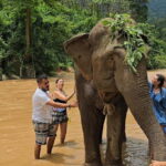 From Delhi: Sunrise Taj Mahal Tour With Elephant SOS - What Makes This Tour Special?