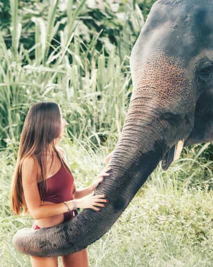 From Delhi: Sunrise Taj Mahal Tour with Elephant SOS Center - Transportation, Timing & Group Size