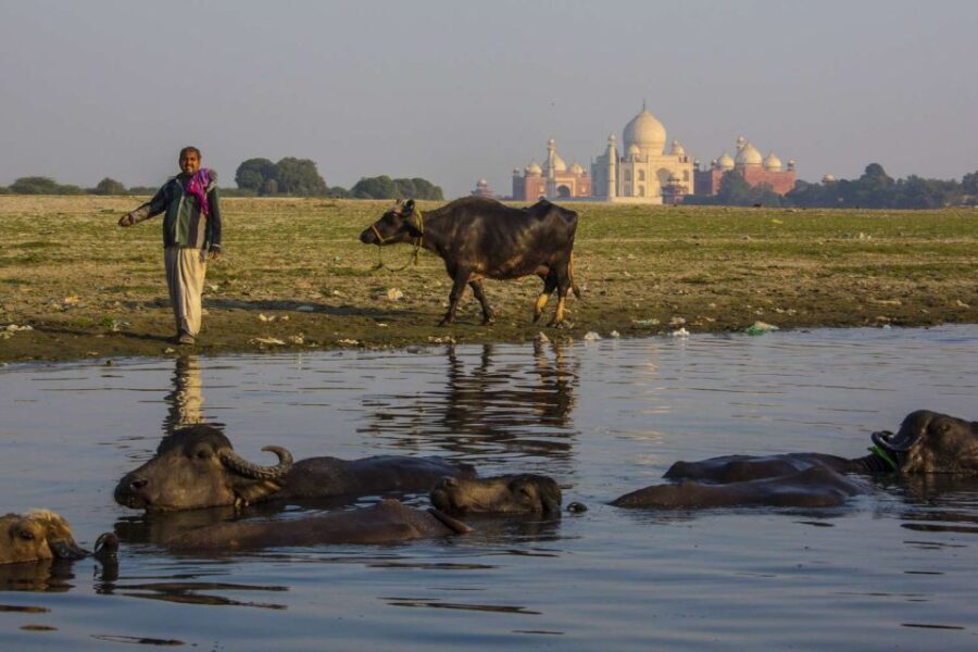 From Delhi: Taj Mahal, Agra Fort Day Tour with Transfers - Who Will Love This Tour?