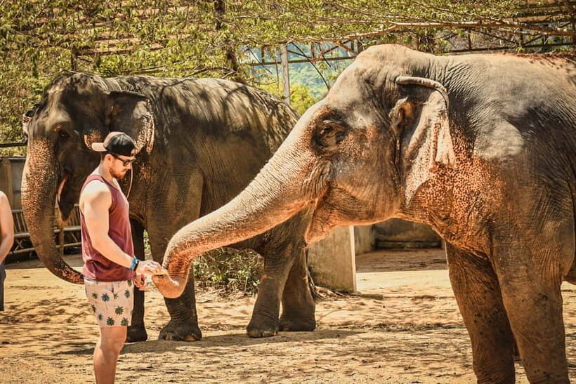 From Delhi: Taj Mahal, Agra Fort & Elephant Centre Tour - Pricing & Value