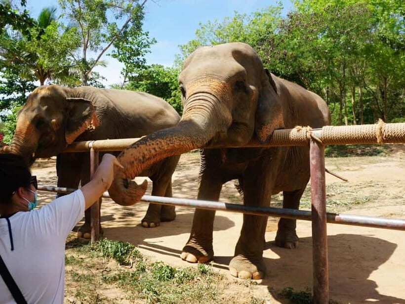From Delhi: Taj Mahal, Agra Fort & Elephant Rescue Tour - In-Depth: What to Expect from Each Part of the Tour