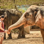 From Delhi: Taj Mahal, Agra Fort & Elephant Sanctuary Tour - Who Will Love This Tour?