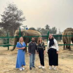From Delhi: Taj Mahal & Elephant SOS with Mathura Vrindavan - Analyzing the Value