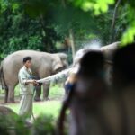 From Delhi: Taj Mahal Sunrise, Agra Fort & Elephant Tour - Analyzing the Value