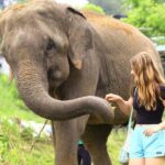 From Delhi: Taj Mahal Sunrise, Agra Fort & Elephant Tour - Who Is This Tour Best Suited For?