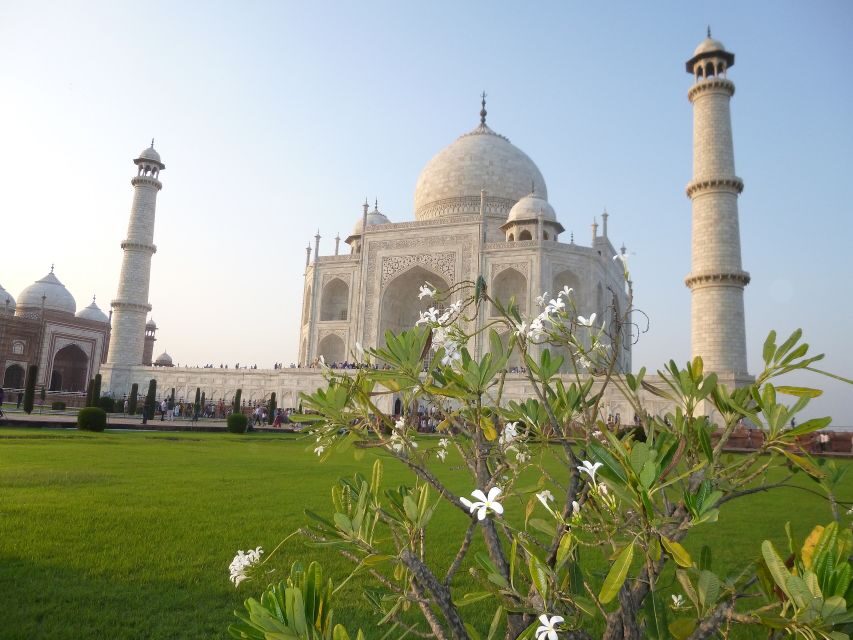 From Delhi: Taj Mahal Sunrise, Baby Taj & Agra Fort Day Tour - Analyzing the Value and What You Get