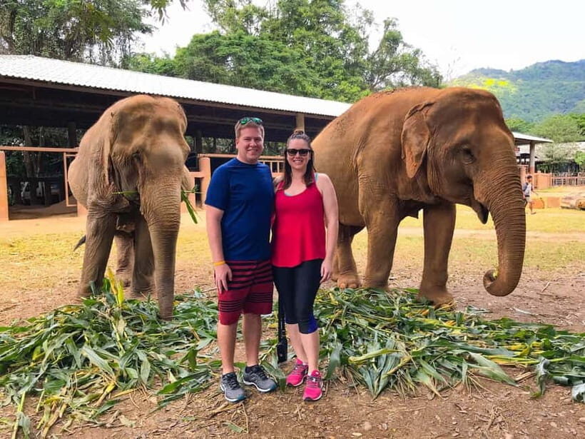 From Delhi: Taj Mahal Sunrise & Elephant Rescue Private Tour - What Travelers Say
