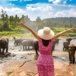 From Delhi: Taj Mahal Sunrise Tour with Elephant SOS Center - The Itinerary: What Makes Each Stop Special