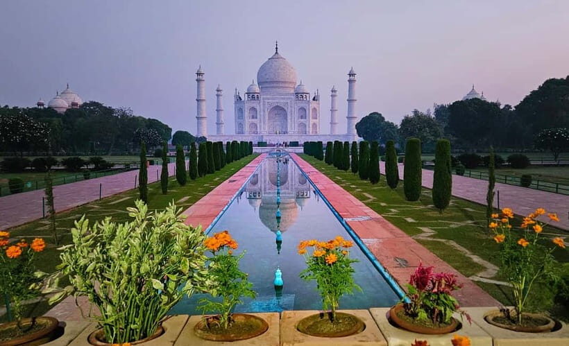 From Delhi: Taj Mahal Tour With Elephant SOS - What’s Included and What’s Not