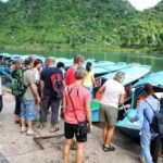 From Dong Hoi: Paradise Cave and Phong Nha Cave Day Trip - Final Thoughts: Who Will Love This Tour?