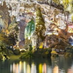 From Dong Hoi: Paradise Cave, Phong Nha Cave Tour, and Lunch - Authentic Reviews and Their Insights