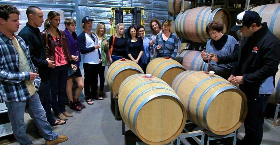 From Dunsborough/Busselton: Margaret River Wine Adventure - Who Should Consider This Tour?