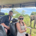 From Ella: Udawalawa Safari Drop: Galle / Mirissa / Tangalle - In-Depth Breakdown of the Tour Experience