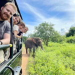 From Ella : Udawalawa Safari & Drop Tangalle/ Mirissa/ Galle - What’s Included and What to Budget For