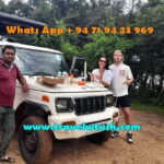 From Ella: Udawalawe National Park safari drop to Ella again - Who Might Want to Consider Other Options?