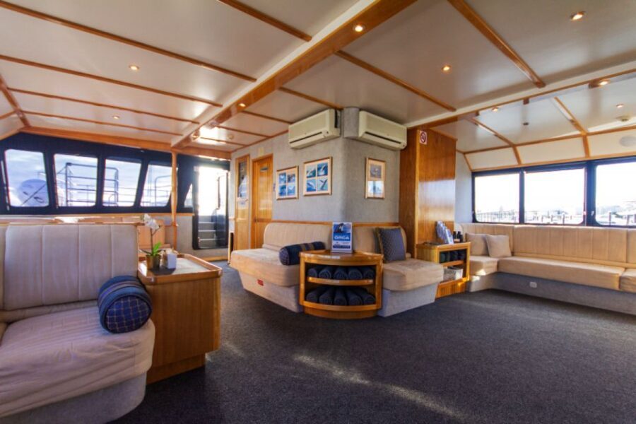 From Fremantle: 2-Hour Luxury Whale-Watching Cruise - Why This Tour Offers Great Value