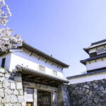From Fukuoka: 3-Hour Tour of Castle Ruins & Ohori Park - Value and Practicality