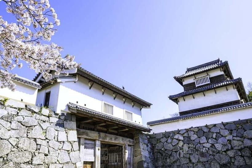 From Fukuoka: 3-Hour Tour of Castle Ruins & Ohori Park