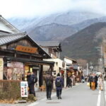 From Fukuoka: Yufuin, Hita, and Beppu Day Trip - What to Expect: Practical Details