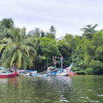 From Galle: Madu River Safari & Turtle Hatchery Visit - Final Thoughts