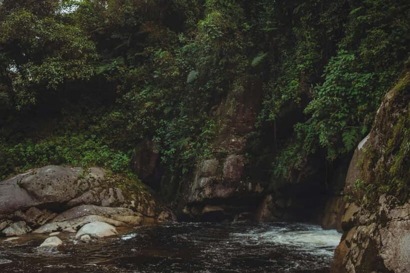 From Galle or Mirissa: Sinharaja Rainforest Day Trip - Is It Worth the Cost?